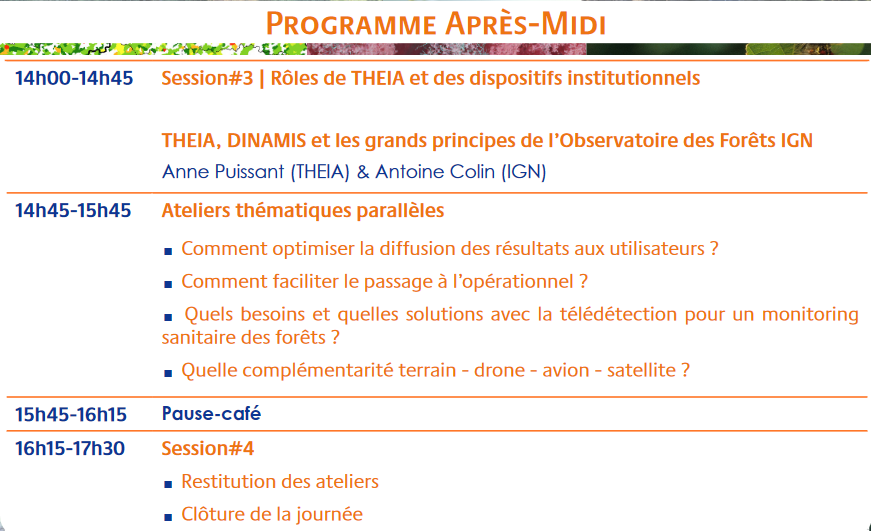 Atelier Télédétection et Santé des forêts | Applisat